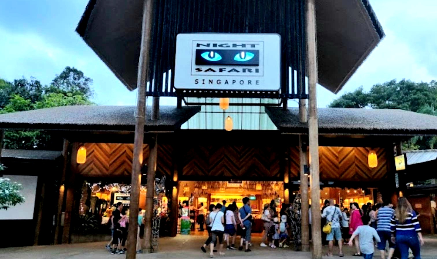 Singapore’s Night Safari: Embark on a Nocturnal Adventure in the World’s First Night Zoo