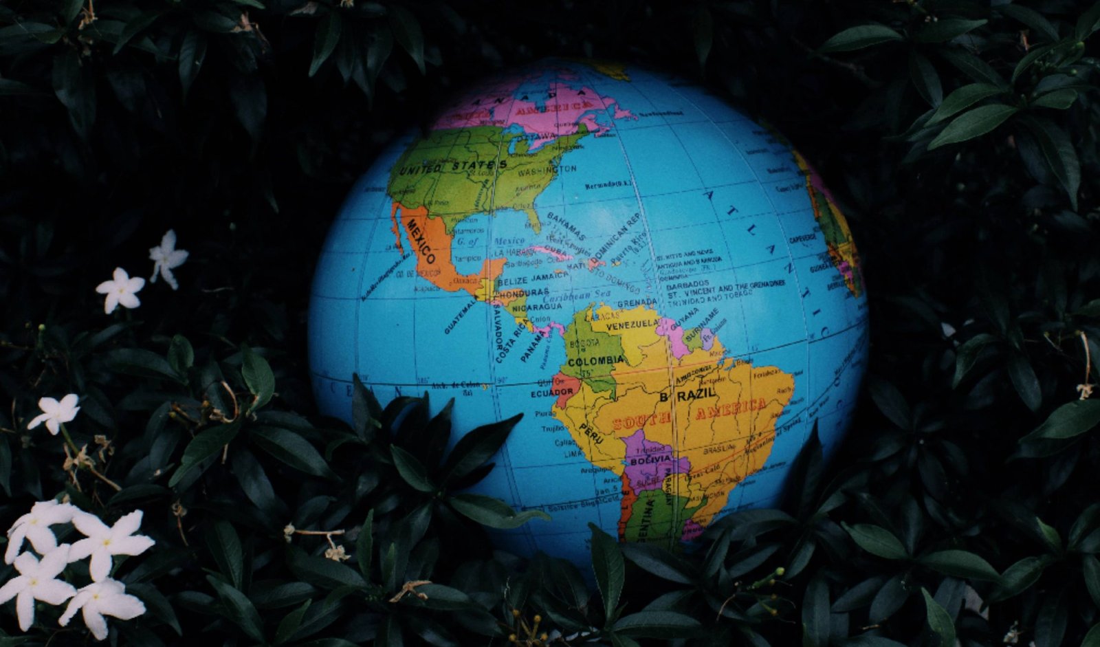 Green Living: A Practical Roadmap to Sustainability