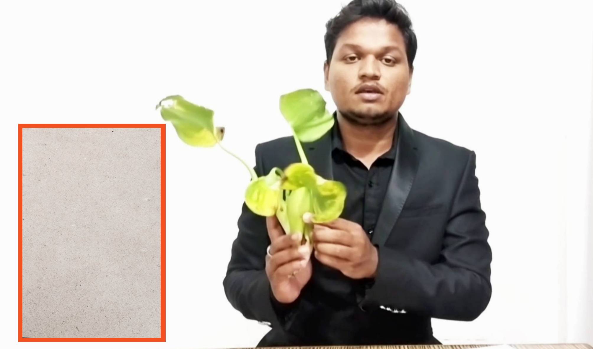 Somesh Sharma Transforms Invasive Water Hyacinth into Eco-Friendly Paper
